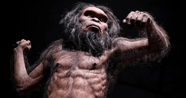 Вчені показали, як виглядали найдавніші люди Homo habilis та Homo ...
